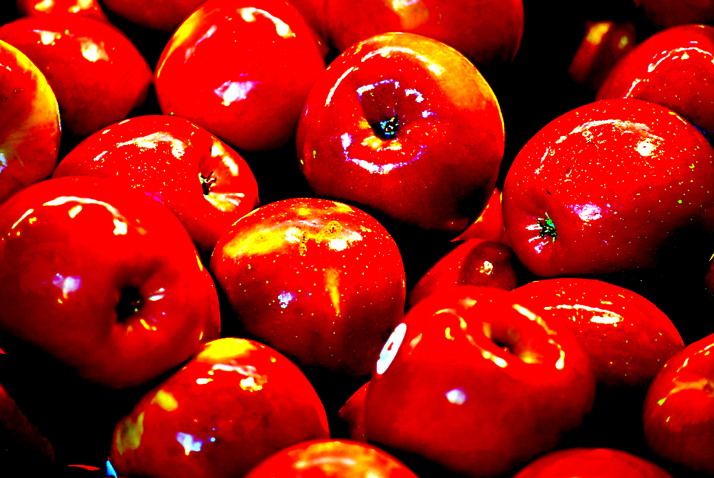 “Matie Shall Not Conquer” – Tanya Shirley – Novel Niche